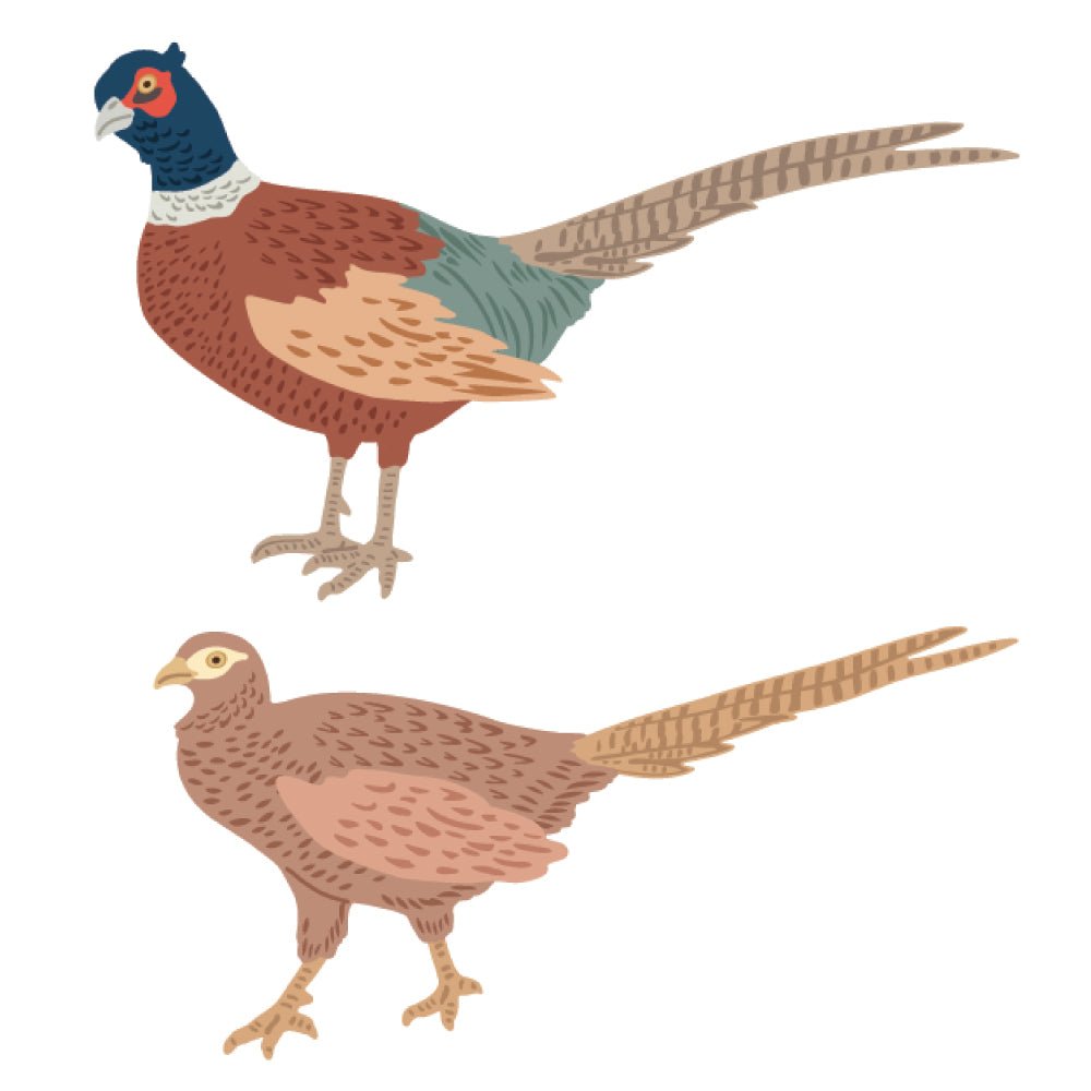 Lovely Layers: Pheasant - Honey Cuts - Stand-Alone Dies – Honey Bee Stamps